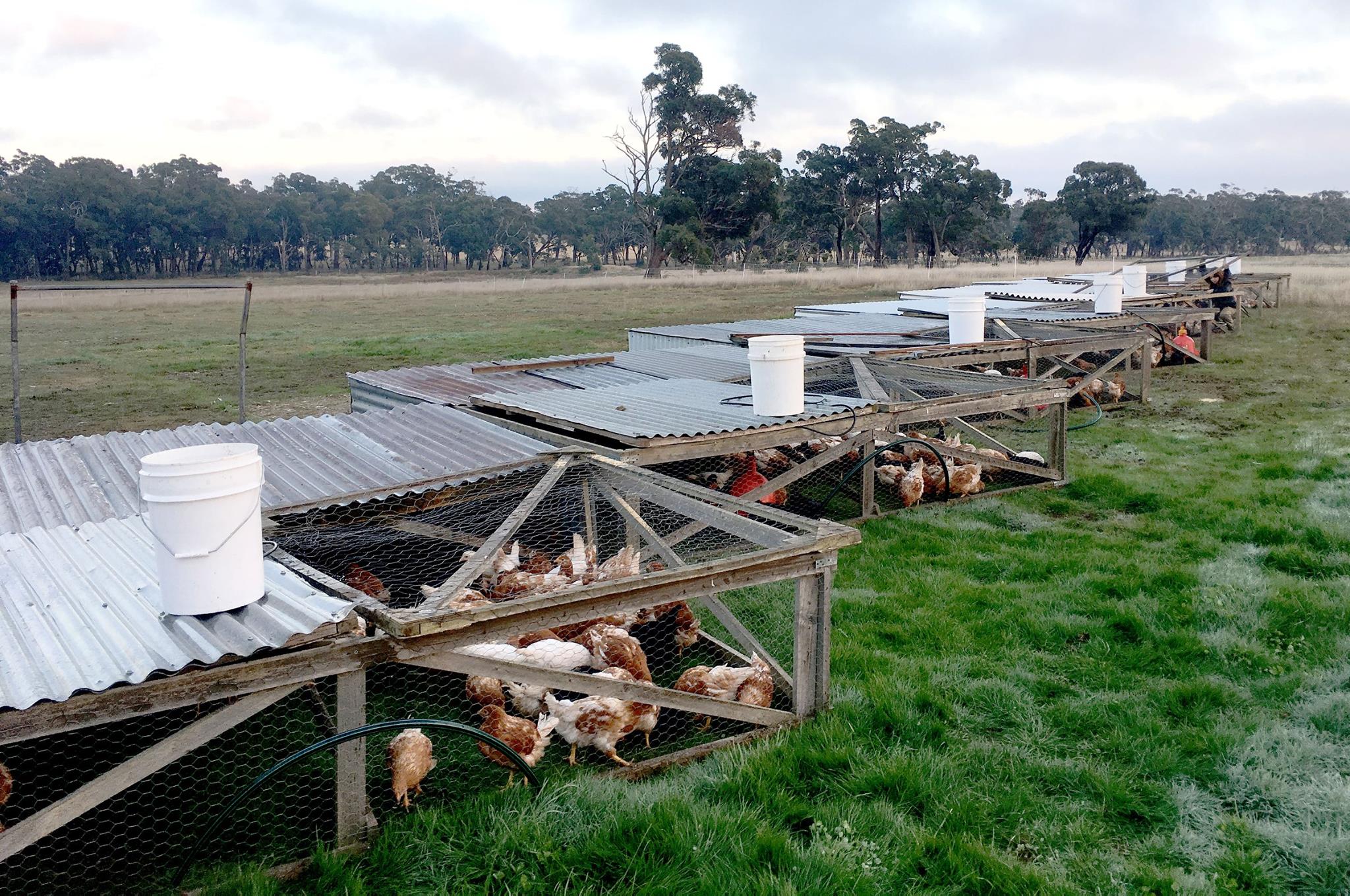 Another Portfolio | Taranaki Farm : Beyond Organic