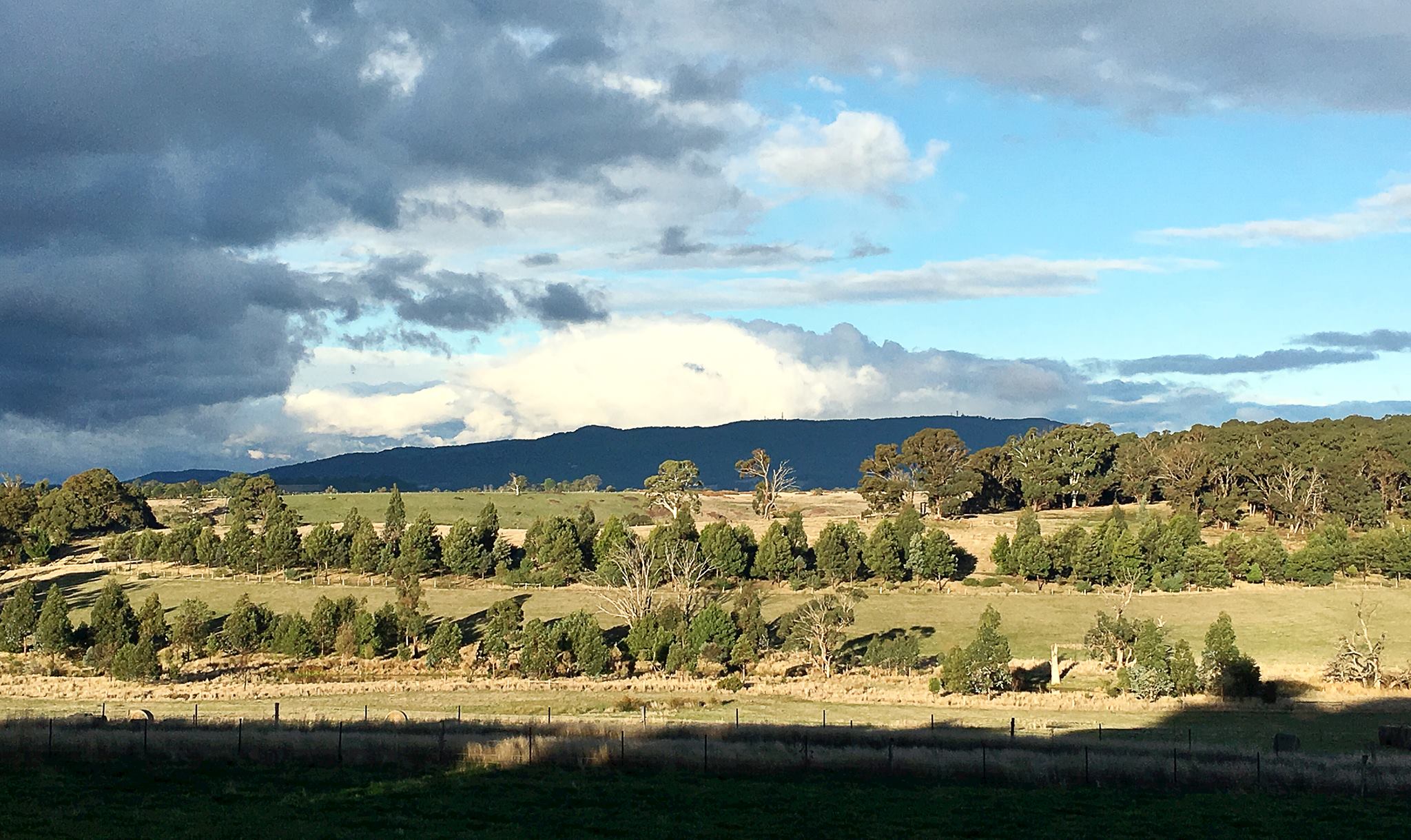 Another Portfolio | Taranaki Farm : Beyond Organic